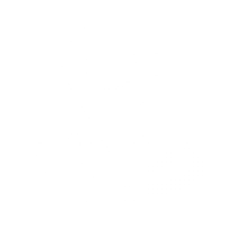 SecureLoan – Security Finance